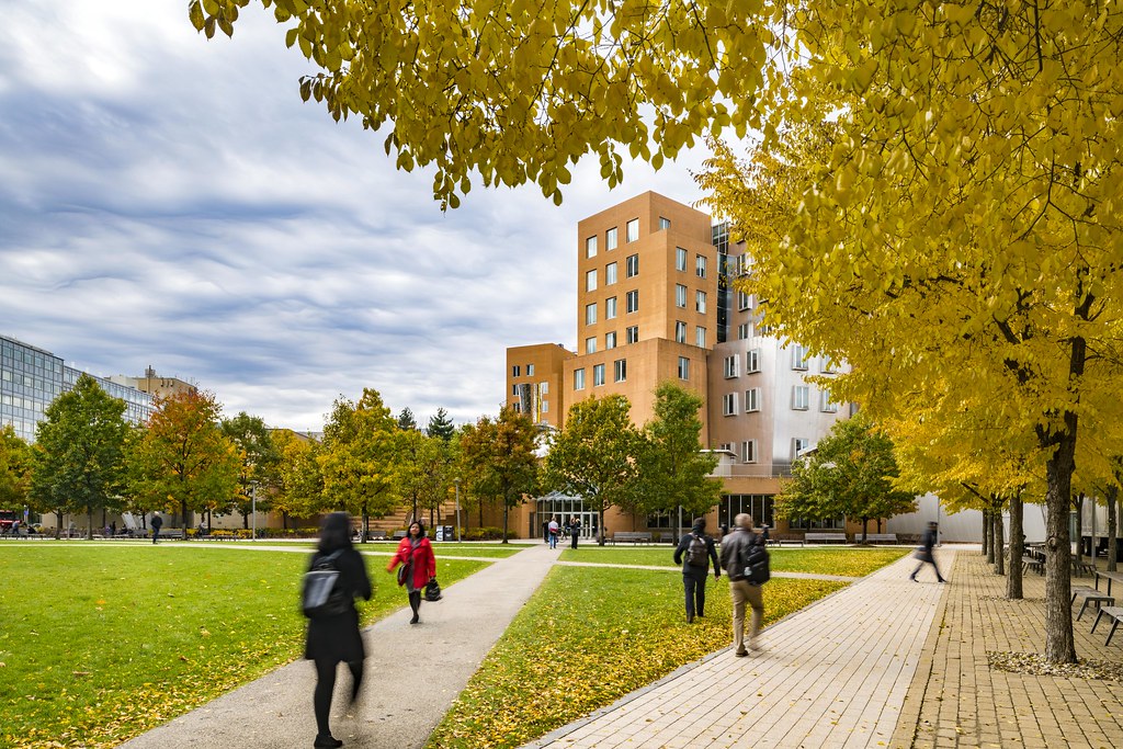 Contact - MIT Faculty Newsletter